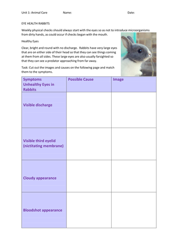 Eye health rabbits Unit 1 BTEC Animal Care | Teaching Resources