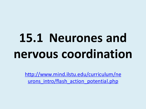 Action Potential Powerpoint / Animation | Teaching Resources Action Potential Powerpoint / Animation | Teaching Resources