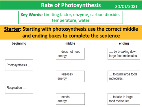 The Rate of Photosynthesis | Teaching Resources