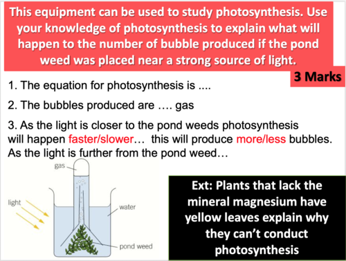 The Rate of Photosynthesis | Teaching Resources