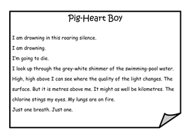 Pig Heart Boy - Malorie Blackman Worksheet | Teaching Resources