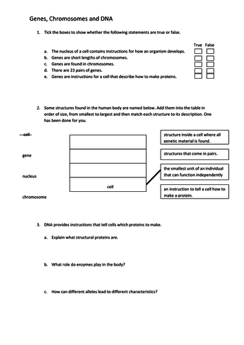 KS4 Biology Worksheet Pack | Teaching Resources