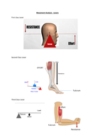 GCSE AQA Physical Education - Second and third class Levers (re-capping ...