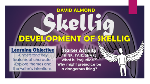 Skellig Big Bundle! | Teaching Resources
