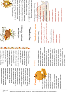 Thanksgiving Mini Books | Teaching Resources