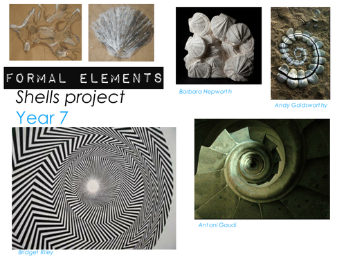 KS3 Art & Design: Mixed Media Shells & Formal Elements | Teaching Resources