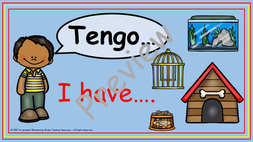 Spanish lesson and resources : Pets | Teaching Resources