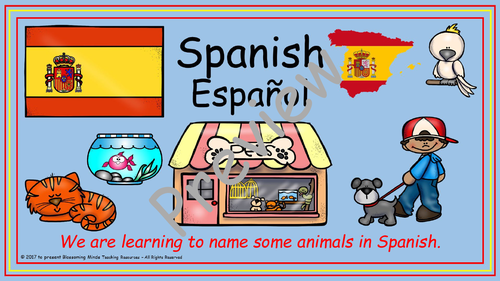 Spanish lesson and resources : Pets | Teaching Resources