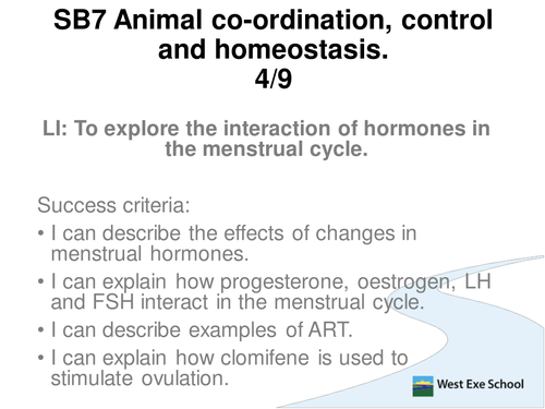 Hormones in the menstrual cycle Edexcel Seperate Science | Teaching ...