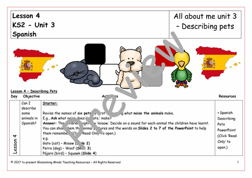 Spanish lesson : Describing pets | Teaching Resources