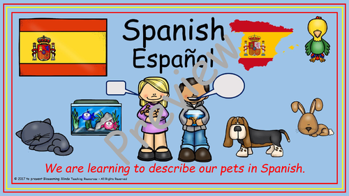 Spanish lesson : Describing pets | Teaching Resources