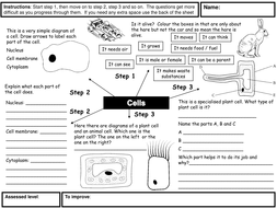 Cells Homework by amcooke | Teaching Resources