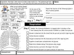 KS3 Biology homework tasks | Teaching Resources