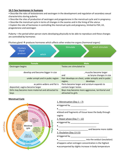 IGCSE Biology: 16 Sexual Reproduction in Plants and Humans | Teaching ...