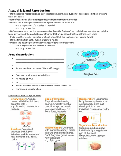 IGCSE Biology: 16 Sexual Reproduction in Plants and Humans | Teaching ...