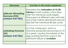 ENDOCRINE SYSTEM - Hypothalamus, Pituitary gland, fight and flight ...