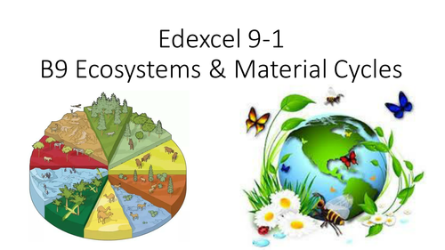 B9 Ecosystems and Material Cycles Edexcel 9-1 | Teaching Resources