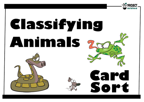 Classifying Animals Card Sort | Teaching Resources