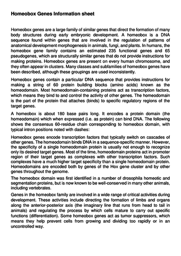 KS5 A Level Biology Body Plans Lesson | Teaching Resources