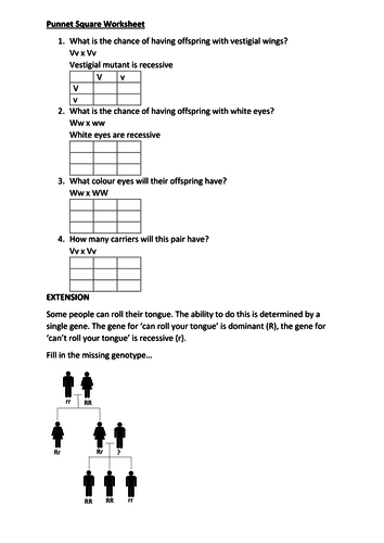 Genetic Crosses and Punnet Squares | Teaching Resources