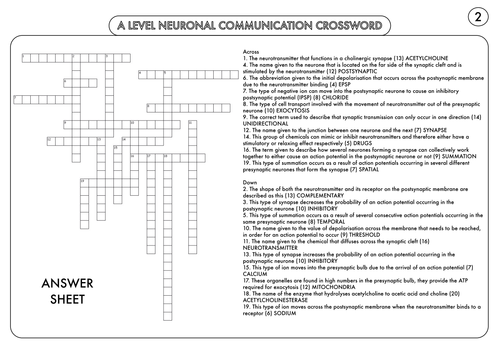 A Level Biology: Crossword Pack on the Nervous System | Teaching Resources