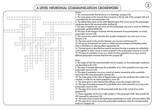 A Level Biology: Crossword Pack on the Nervous System | Teaching Resources