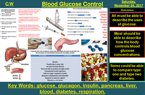 Control of Blood Glucose Concentration | AQA B2 4.5 | New Spec 9-1 ...