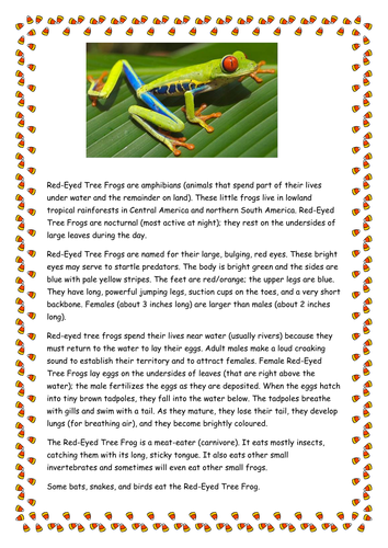 Lower KS2 Rainforest Art unit of work | Teaching Resources