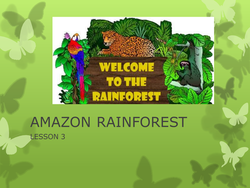 Lower KS2 Rainforest Art unit of work | Teaching Resources