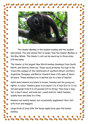 Lower KS2 Rainforest Art unit of work | Teaching Resources