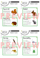 Animal Habitats Hunt Outdoor Activity | Teaching Resources