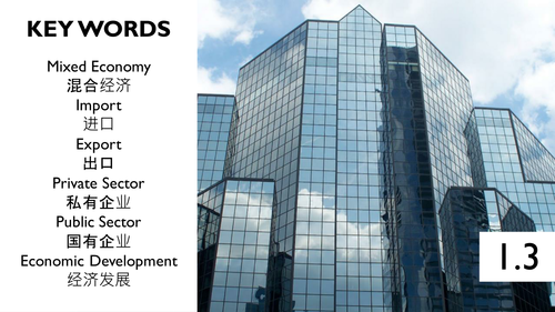 CIE iGCSE Business 0450 Unit 1 Understanding Business [Chinese Keywords ...