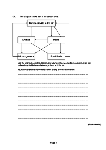 Set of 26 Biology extended writing questions (6 mark questions) NEW AQA ...