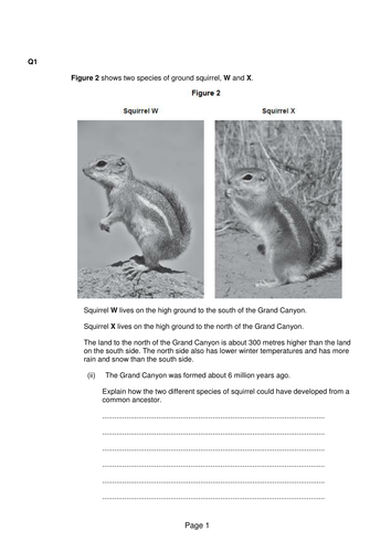 Set of 26 Biology extended writing questions (6 mark questions) NEW AQA ...