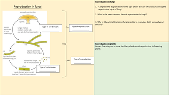 Asexual and sexual reproduction life cycles. New AQA 1-9 GCSE Biology ...