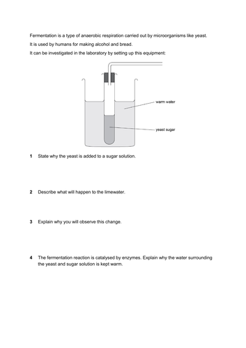 KS3 Photosynthesis and Respiration | Teaching Resources