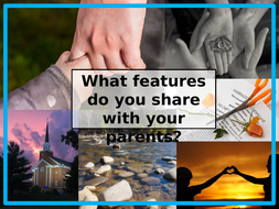 Genetics - Sinead Morrissey - Poems of the Decade | Teaching Resources