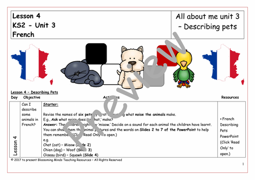 French lesson : Pet descriptions | Teaching Resources