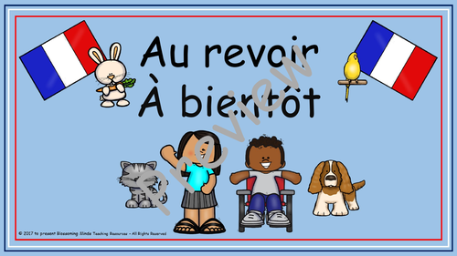 French lesson : Pet descriptions | Teaching Resources