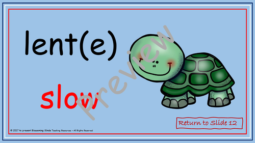 French lesson : Pet descriptions | Teaching Resources