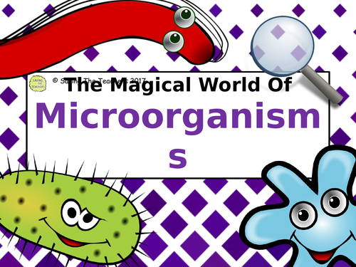 Microorganisms Introduction PowerPoint and Quiz | Teaching Resources Microorganisms Introduction PowerPoint and Quiz | Teaching Resources