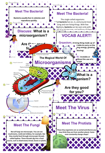 Microorganisms Introduction PowerPoint and Quiz | Teaching Resources Microorganisms Introduction PowerPoint and Quiz | Teaching Resources