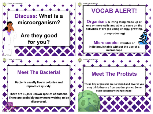 Microorganisms Introduction PowerPoint and Quiz | Teaching Resources Microorganisms Introduction PowerPoint and Quiz | Teaching Resources