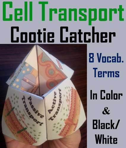 Passive and Active Cell Transport Task Cards and Activities Bundle ...