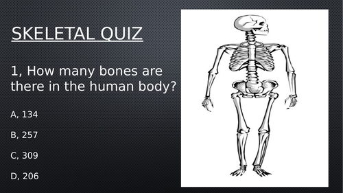 Skeletal System Quiz | Teaching Resources