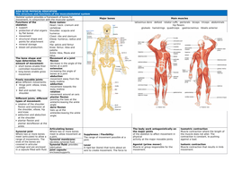 AQA GCSE PE (9-1): Chapter 1a - Applied Anatomy and Physiology ...