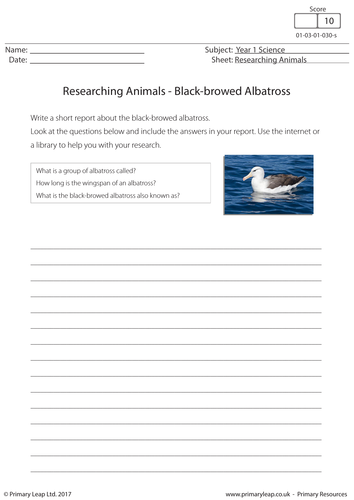 Science Worksheet - Researching Animals: Black-browed Albatross ...