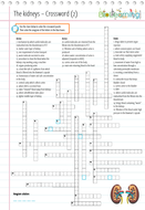Function of the Kidneys and urine production - Crossword (KS4/5 ...