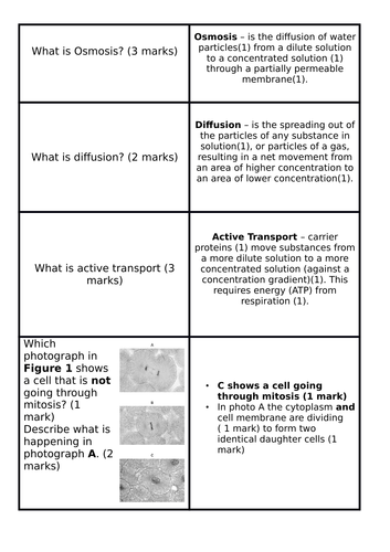 GCSE Biology AQA B1 Cells topic Revision Lesson | Teaching Resources