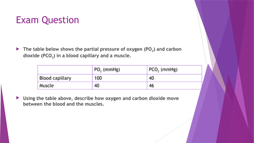 AQA A Level PE- Injury Prevention and Rehabilitation | Teaching Resources